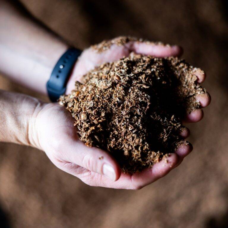 Nampa Factory – Amalgamated Sugar